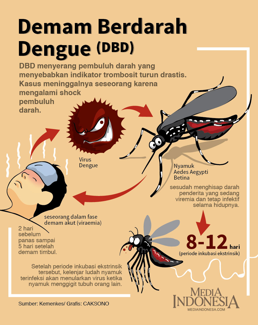 Ayo, Waspada Demam Berdarah Dengue (DBD) – Alo Gaes