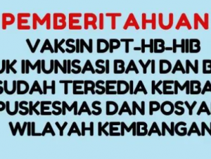 Informasi Vaksin DPT-Hb-HIB untuk bayi dan balita januari 2024 – Puskesmas Kembangan
